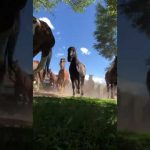 Lazy L&B Ranch - Award-winning Dude Ranch in Wyoming