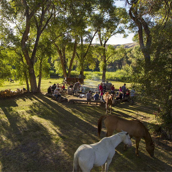 Wyoming Ranch Dining - Fresh Ranch to Table Meals
